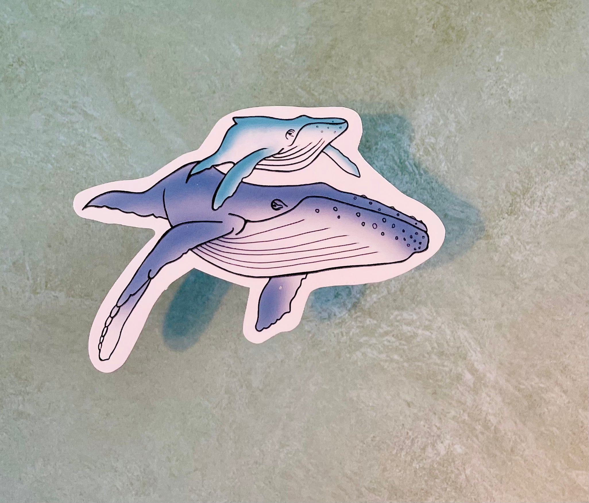Humpback Whale Sticker – CynElizabethStudios